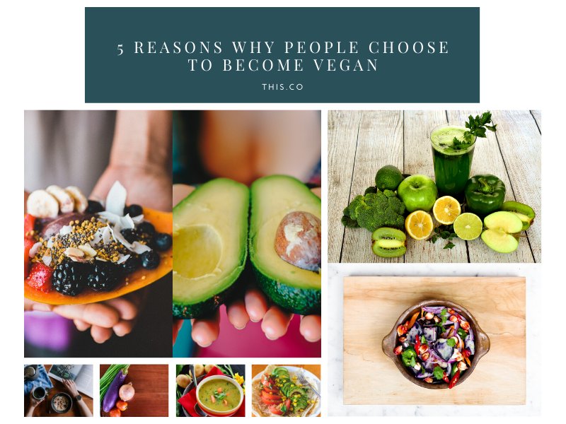 5 Reasons Why People Choose To Become Vegan - Sooper Articles